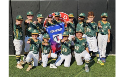 Forest Hills Youth Baseball > Home