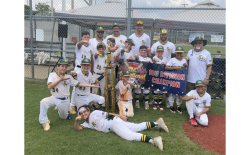 Forest Hills Youth Baseball > Home